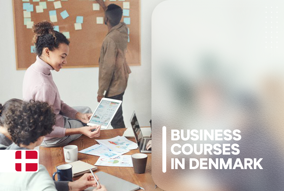 Business Courses in Denmark: A Gateway to Global Business Leadership ...